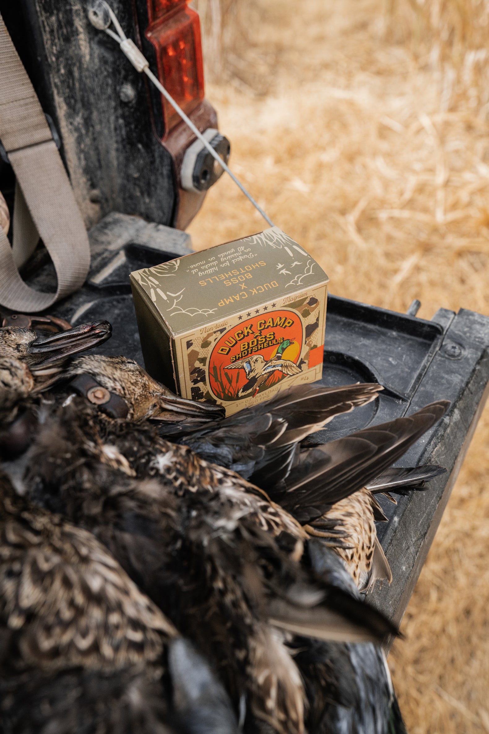 Duck Camp