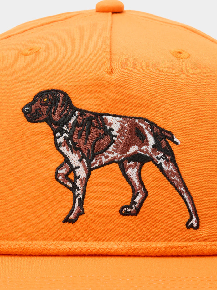Pointer Hat - Blaze